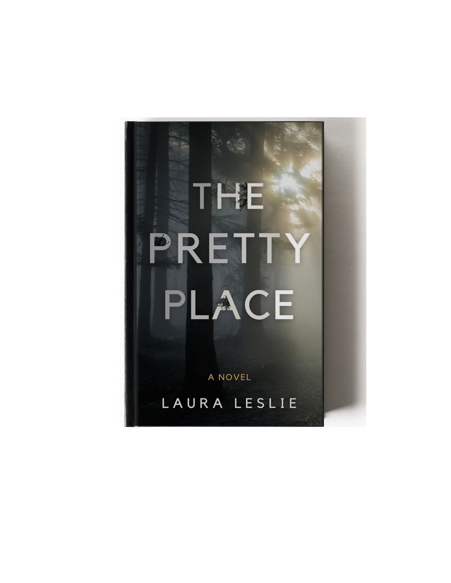 The Pretty Place by Laura Leslie